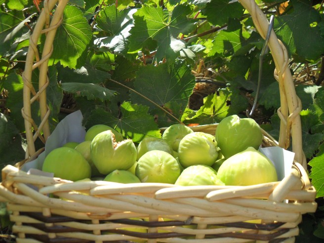 The Wondrous Fruit | 365 Days of Lebanon